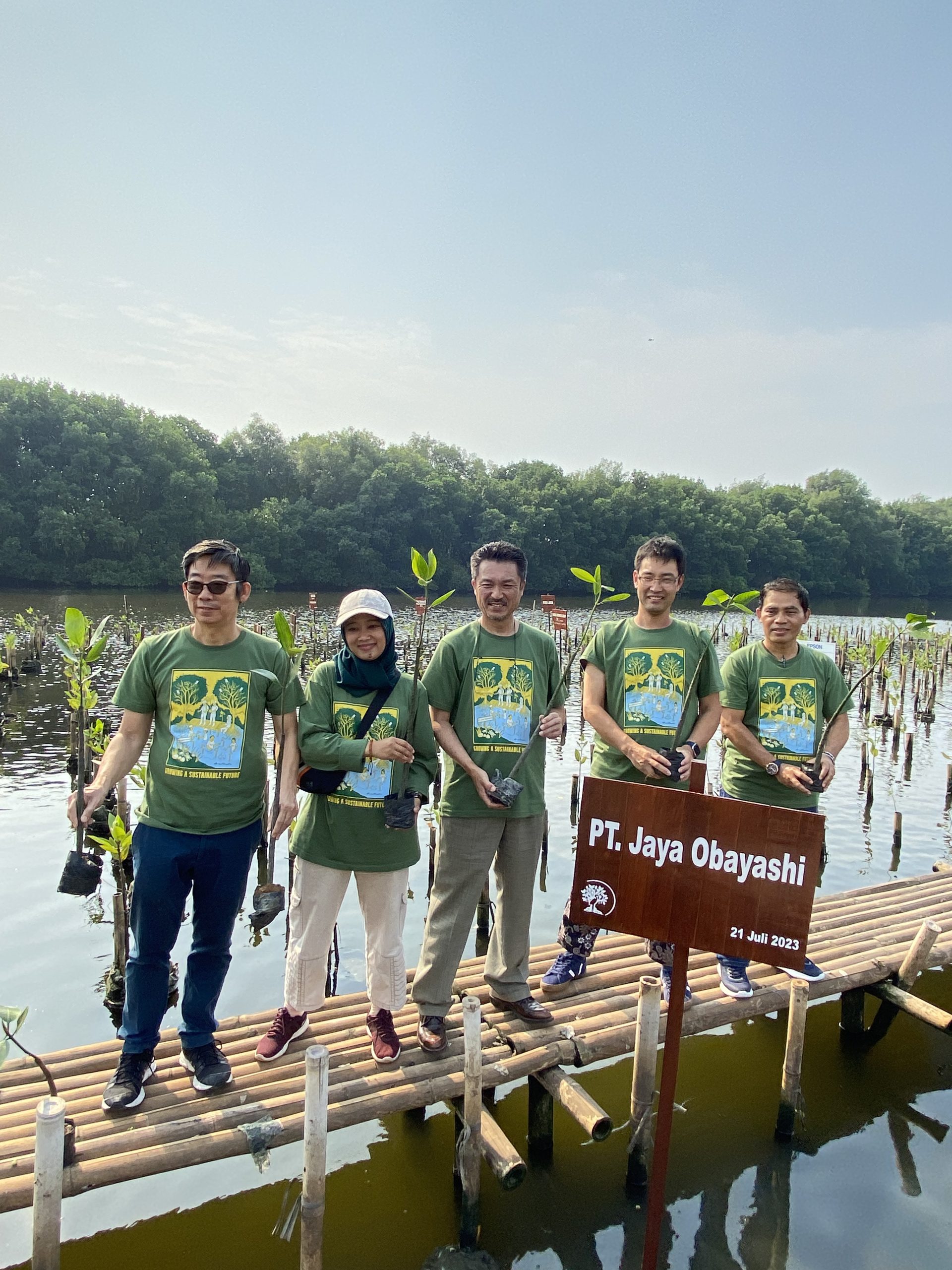 Mangrove Tree Planting: A Small Movement for the Extraordinary Impact ...